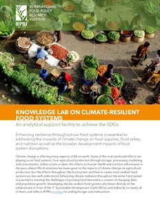 Knowledge lab on climate-resilient food systems: An analytical support ...